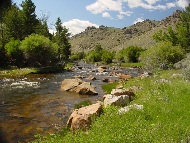 sweetwaterriver03b.jpg (800×600) (มีรูปภาพ)